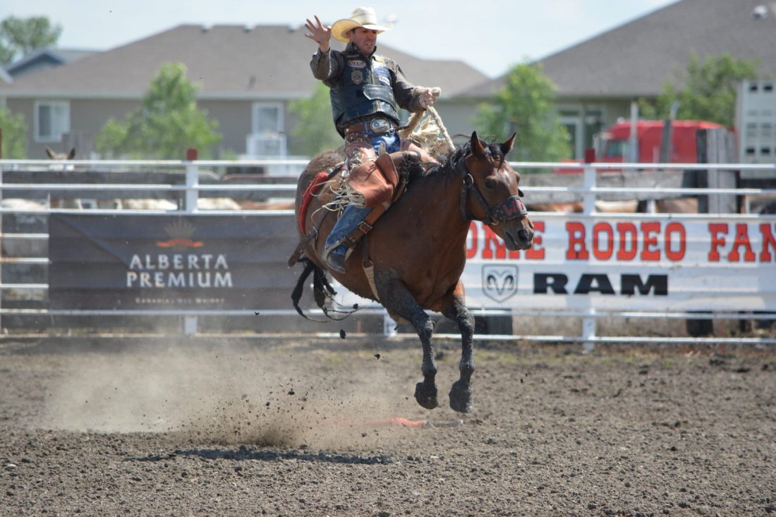 Saddle Bronc Riding - Manitoba Stampede