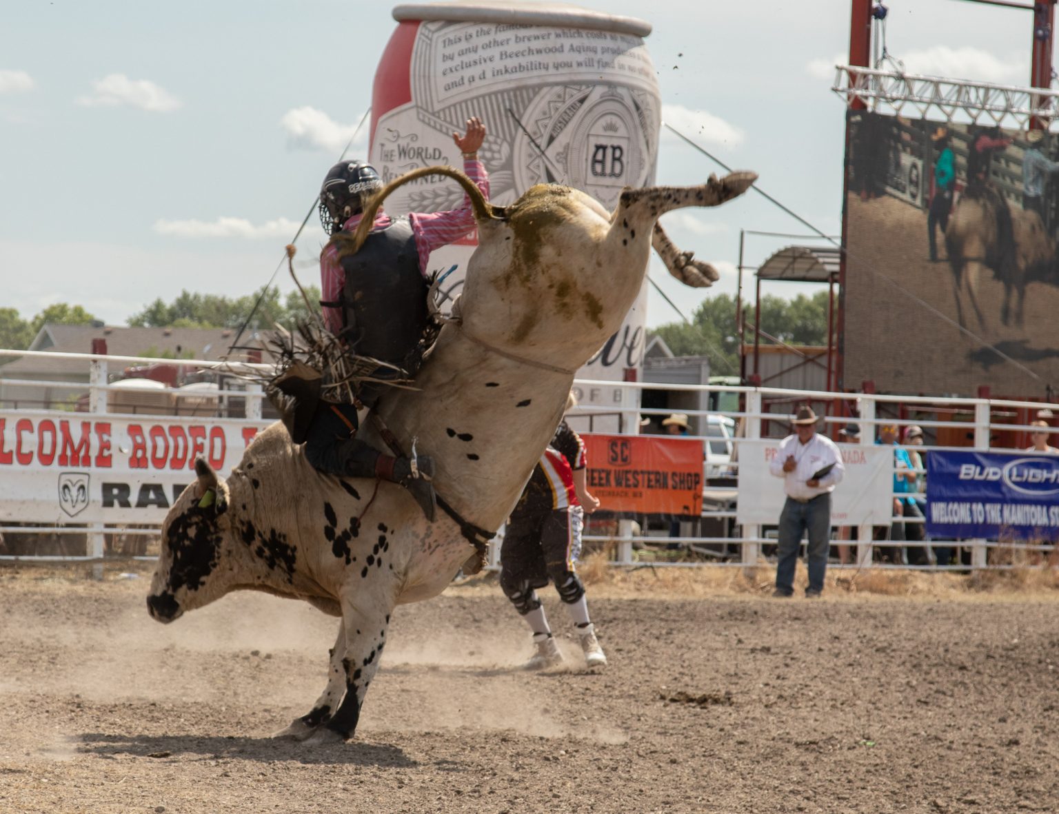 Bull Riding - Manitoba Stampede