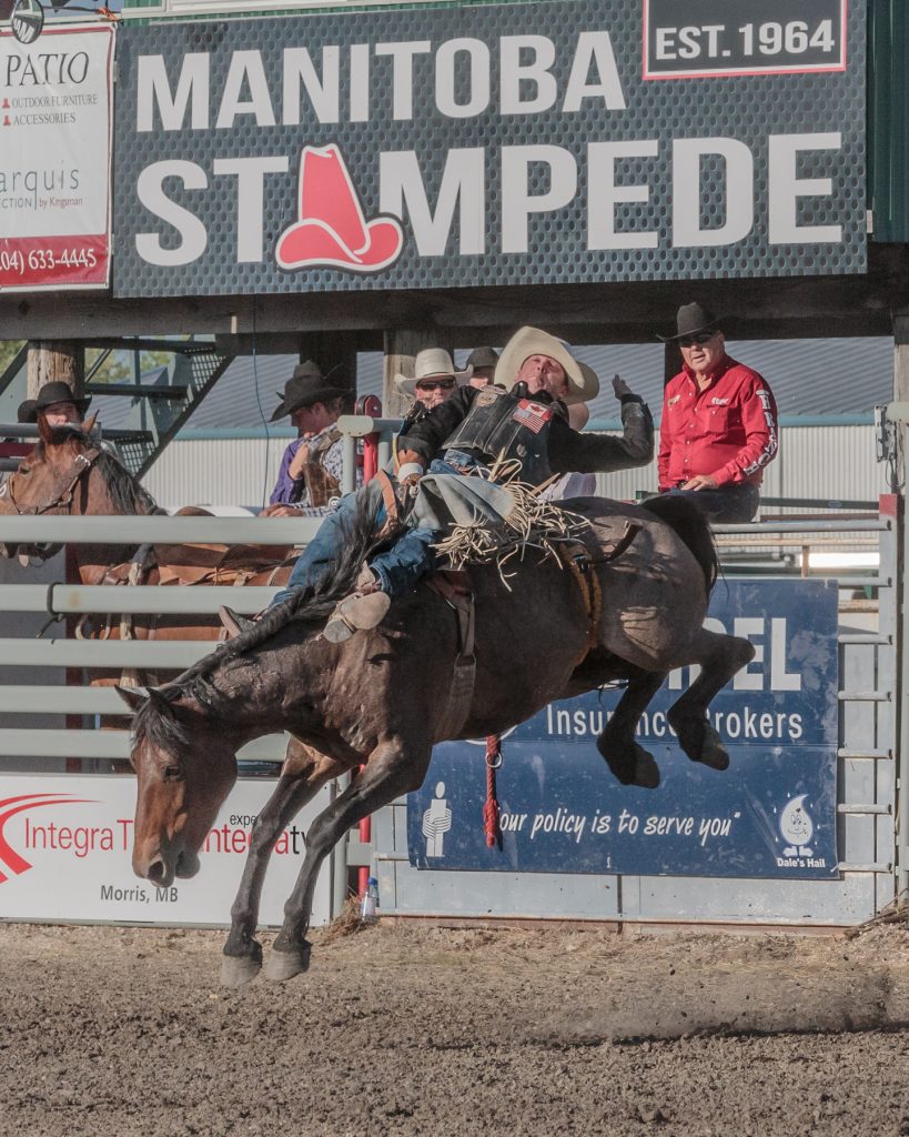 Saddle Bronc Riding - Manitoba Stampede
